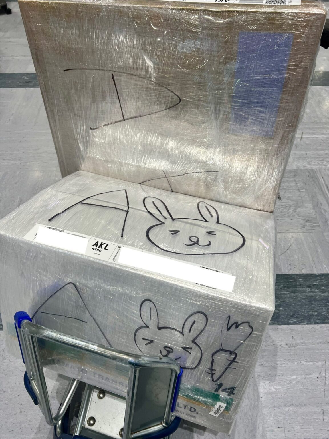 Suitcase-Free Travel with Cardboard Boxes from JP to NZ - Avocado diary